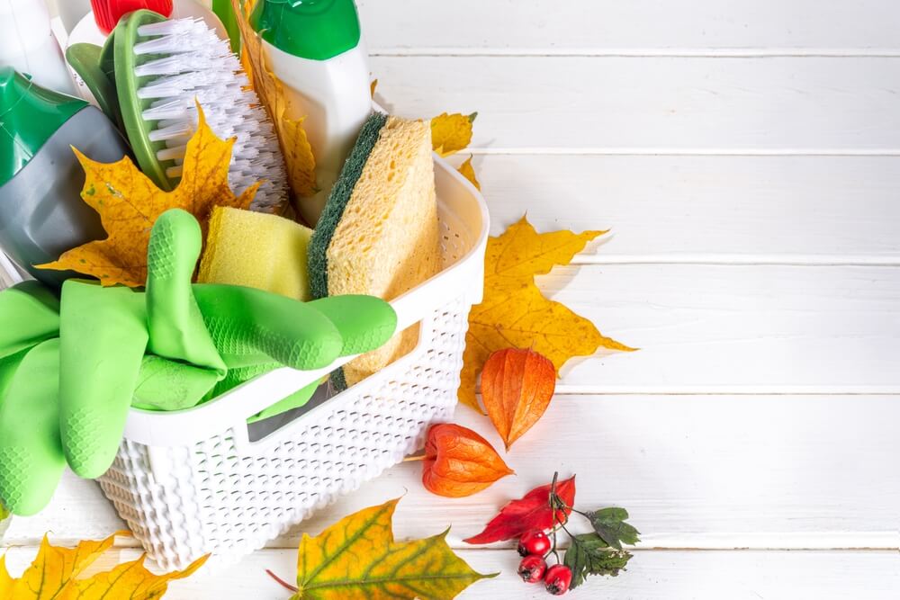 Top 5 Cleaning Areas to Focus On in Autumn - Wixted